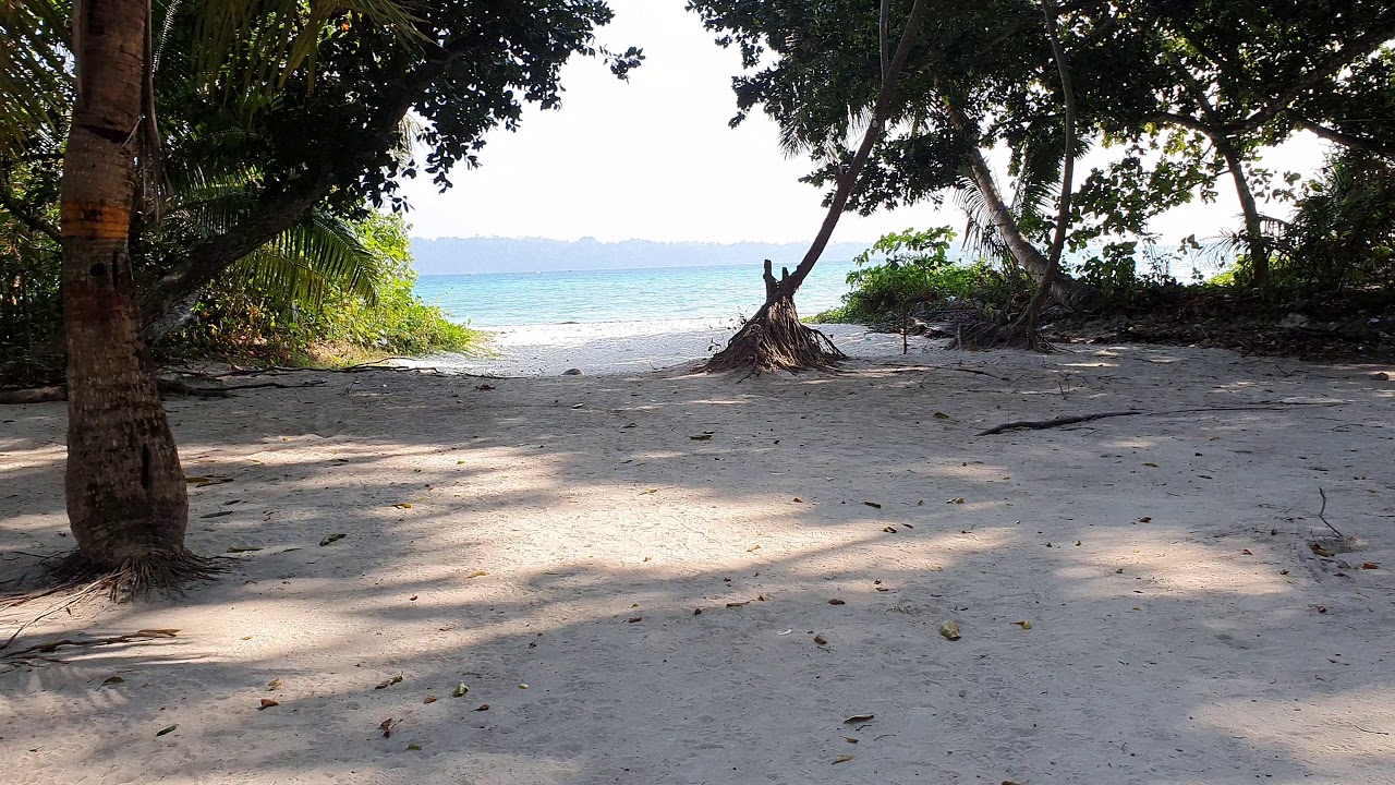 Gold Star Resorts, Havelock, Swaraj Dweep Islands - YouTube