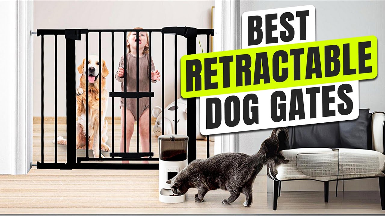 5 BEST Retractable Dog Gates - YouTube
