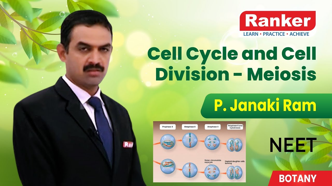 Cell Structure and Functions | Cell Cycle and Cell Division | Meiosis ...