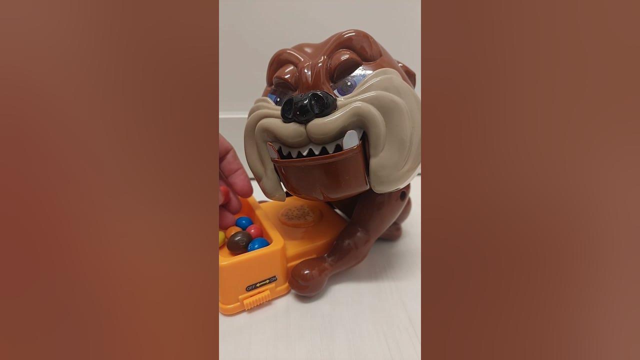 TRENDING ASMR MADDOG WANT CHOCOLATE #asmrtriggers #asmr #maddog #satisfying #reaction #shorts ...