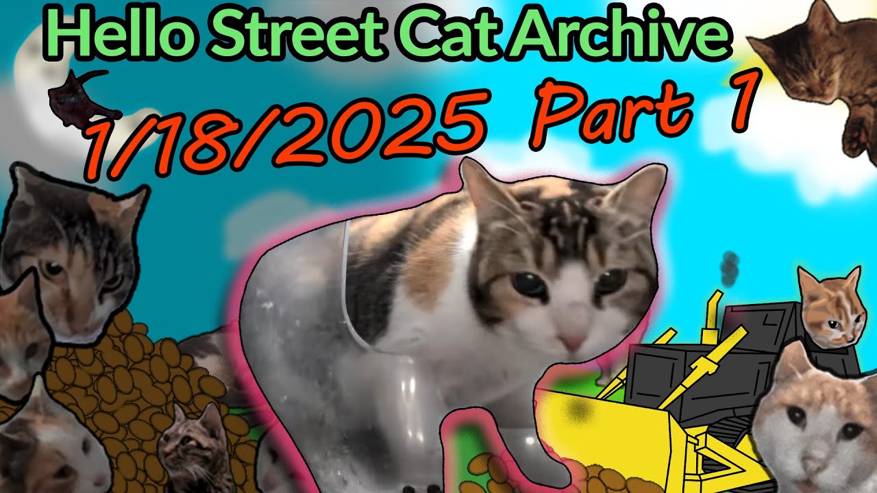Chonky Texas Visits the Happy Canteen! Hello Street Cat Archive🐈😸 1/18 ...