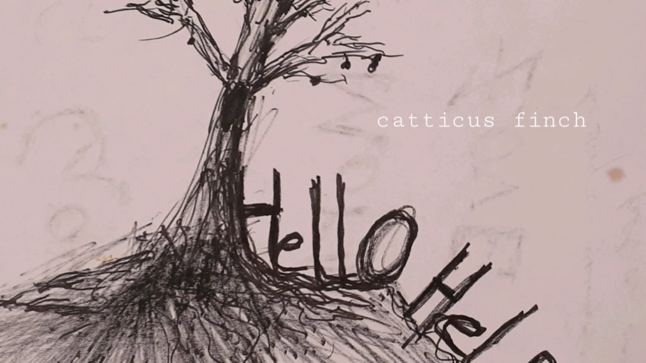 They all talk at once-Catticus finch - YouTube