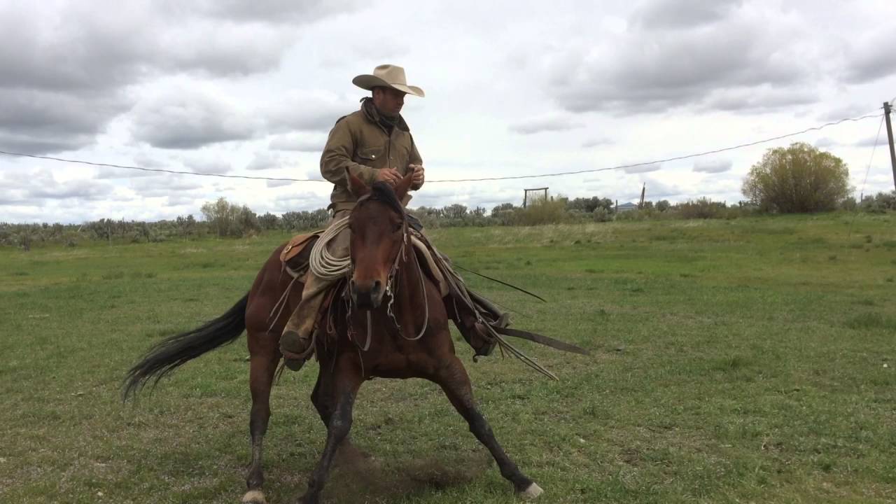 MC Ranch Rounder - YouTube