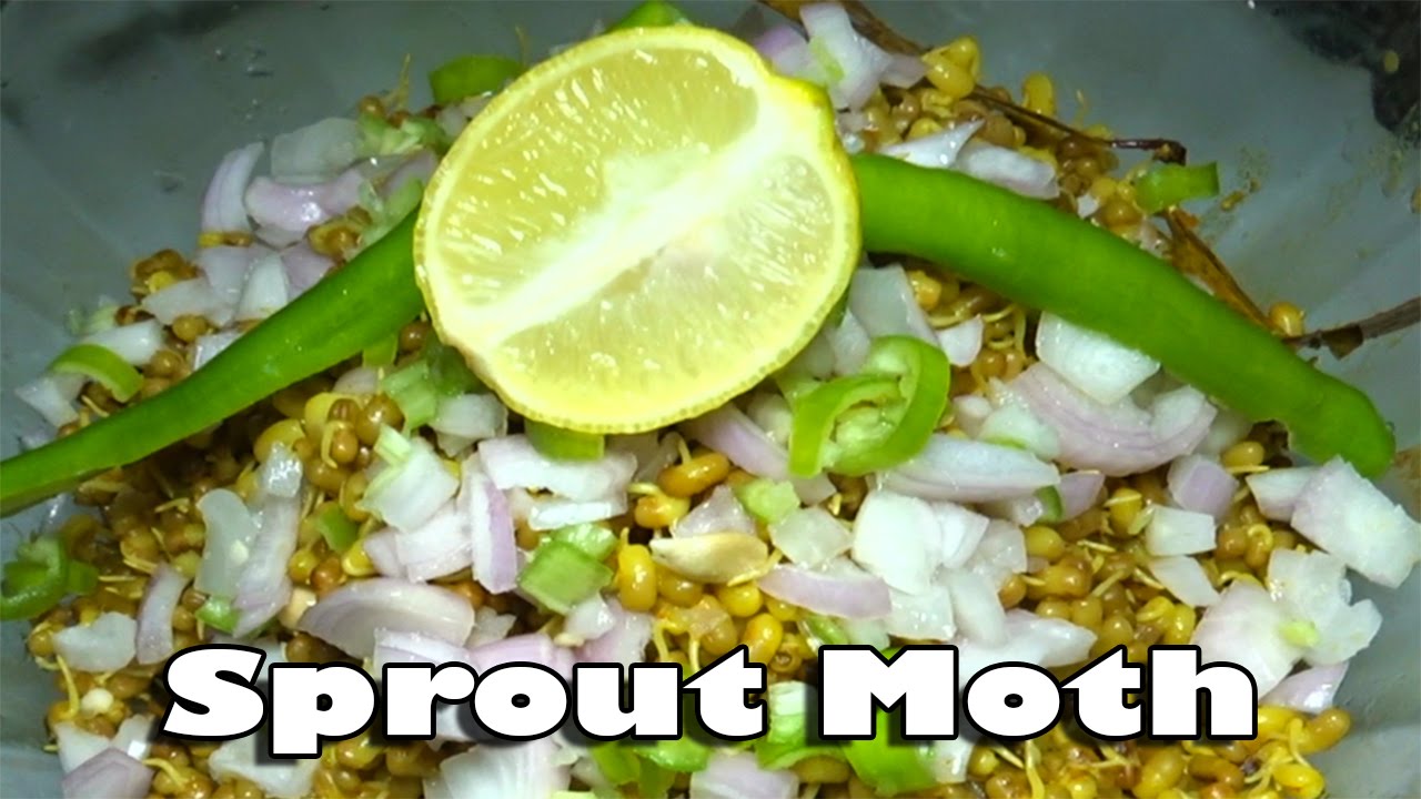 Sprout Moth Beans or Dew Beans Recipe - YouTube