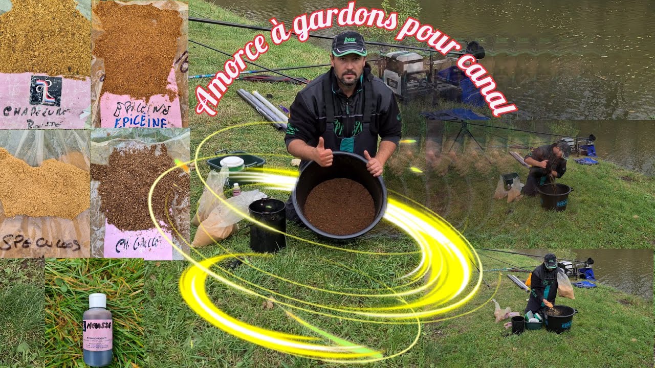 Amorce a gardons pour canal - YouTube