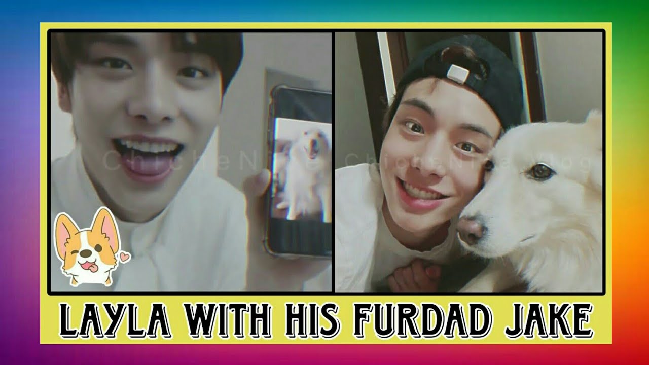 Layla is so lucky to have his furdad Jake || En-joy with ENHYPEN - YouTube