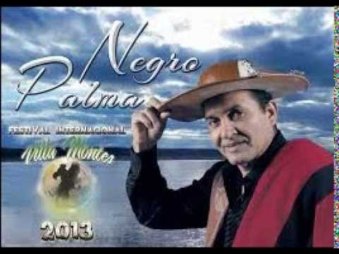 NEGRO PALMA LA JUGUETONA