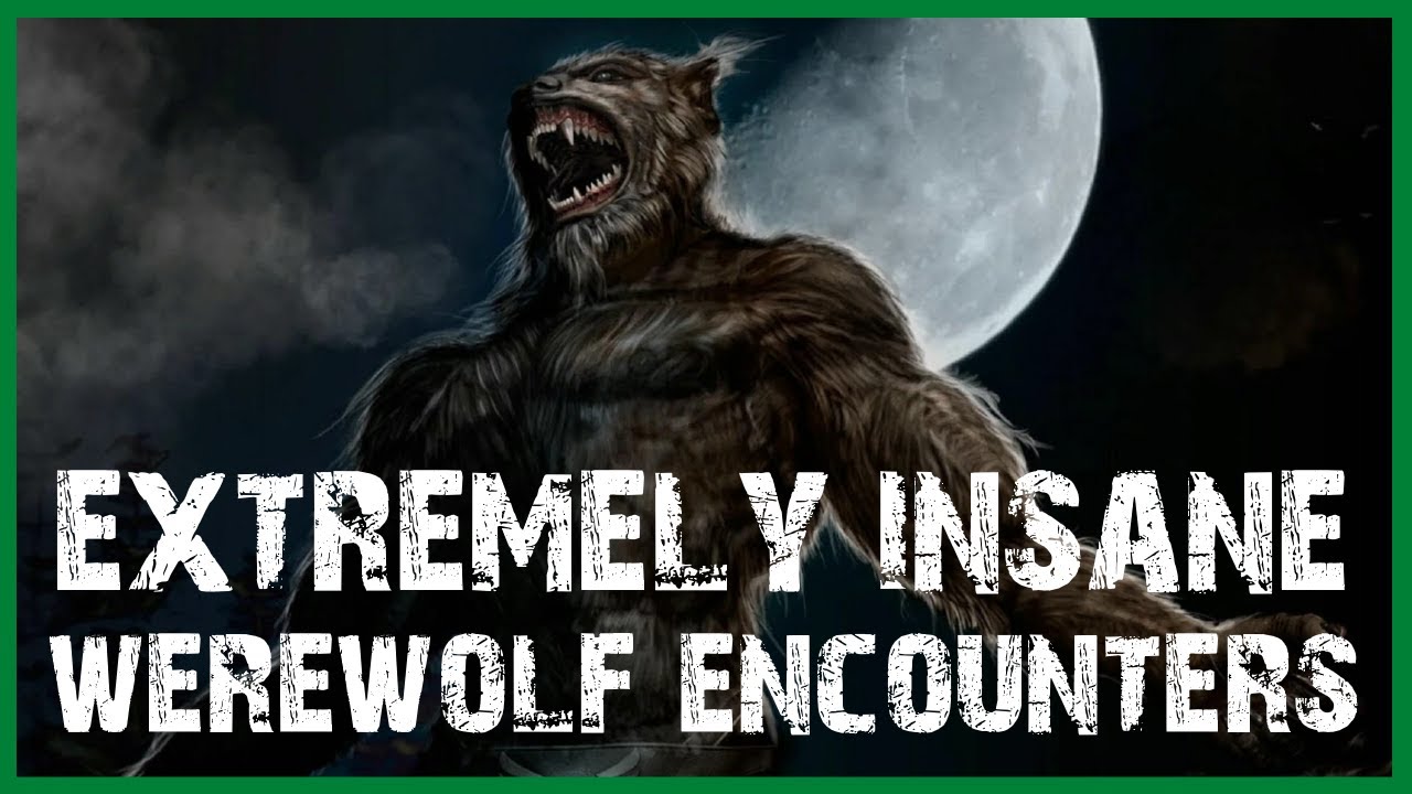 15 EXTREMELY INSANE SCARY DOGMAN ENCOUNTER HORROR STORIES - YouTube