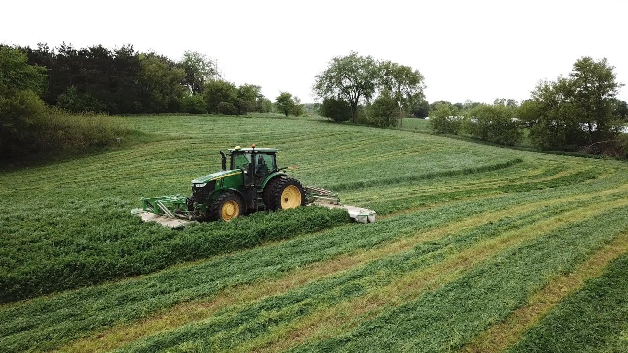 Cutting 4th Crop Hay With Tipple Cutter - YouTube