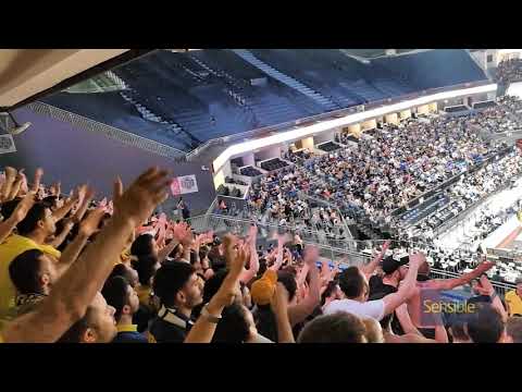 Fenerbahçe tribünü, Ergin Ataman'a Vitoria'da ki sözlerinden dolayı fazlasıyla bilenmiştir