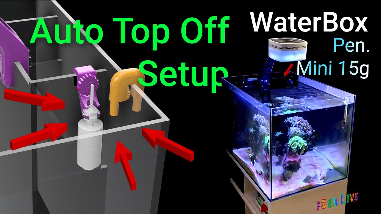 WaterBox Peninsula Mini Auto Top Off Setup - YouTube