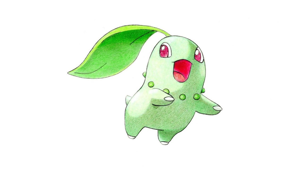 Pokémon : Germignon ~ Chikorita (dessin) - Speed Drawing - YouTube