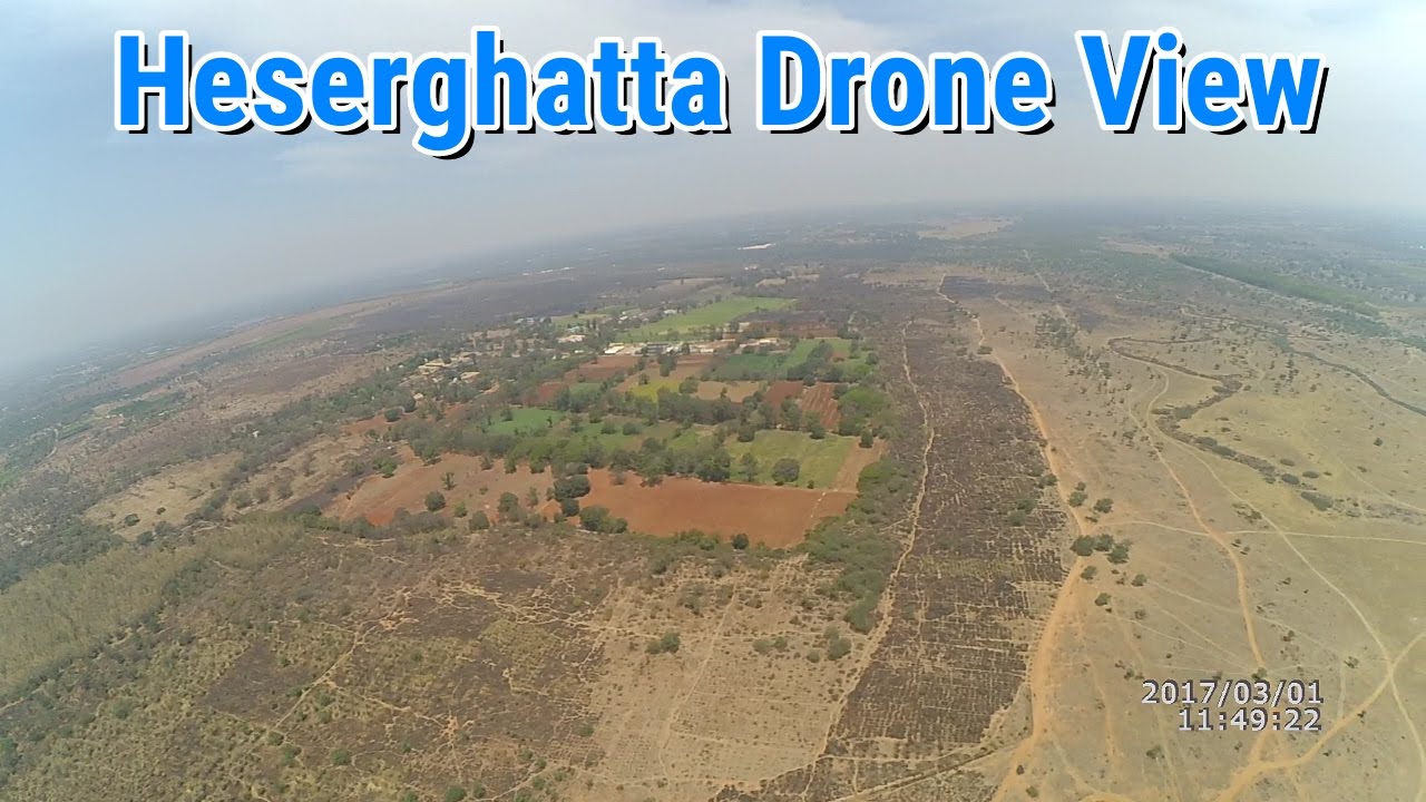 Hesaraghatta Lake bed | Drone Shots - YouTube