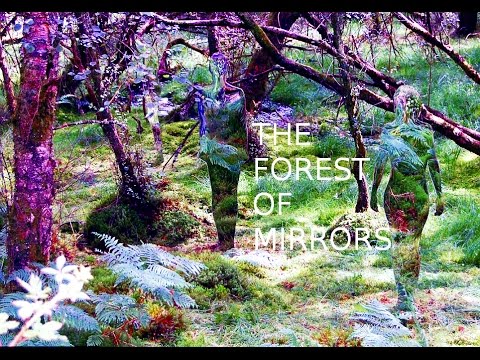 The Forest Of Mirrors - YouTube