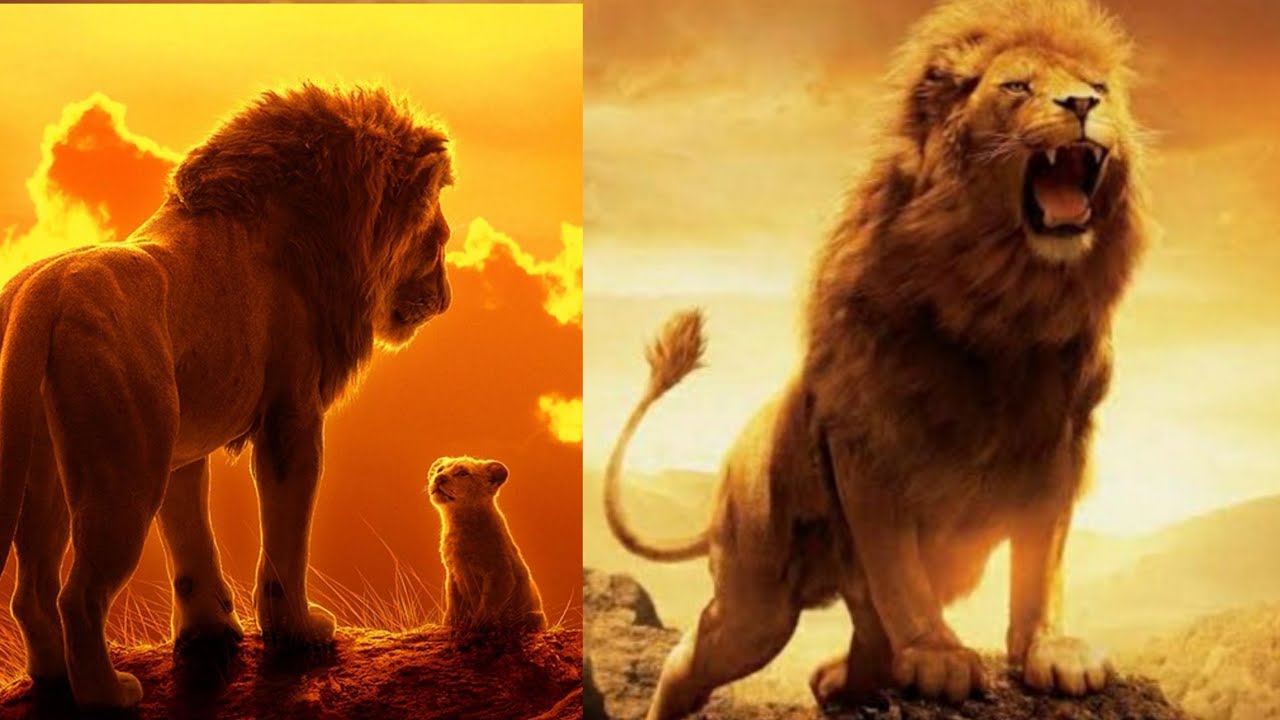সিংহ কেন বনের রাজা? Why lion is the king of forest? - YouTube