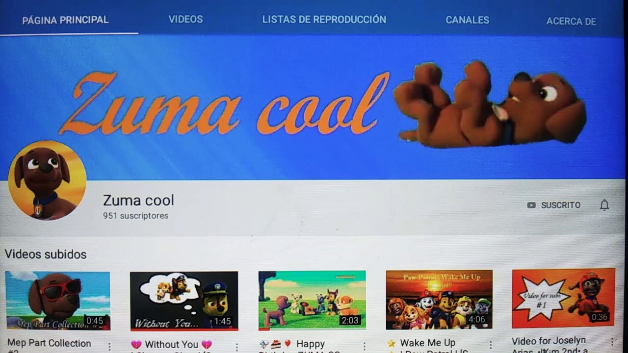 Zuma cool 👍👍👍 😎😎😎 🐾🐾🐾 🐶🐶🐶 - YouTube