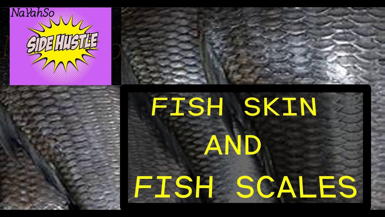 What can you do with Fish Scales & Fish Skin #Finshscales, #Fishskin # ...