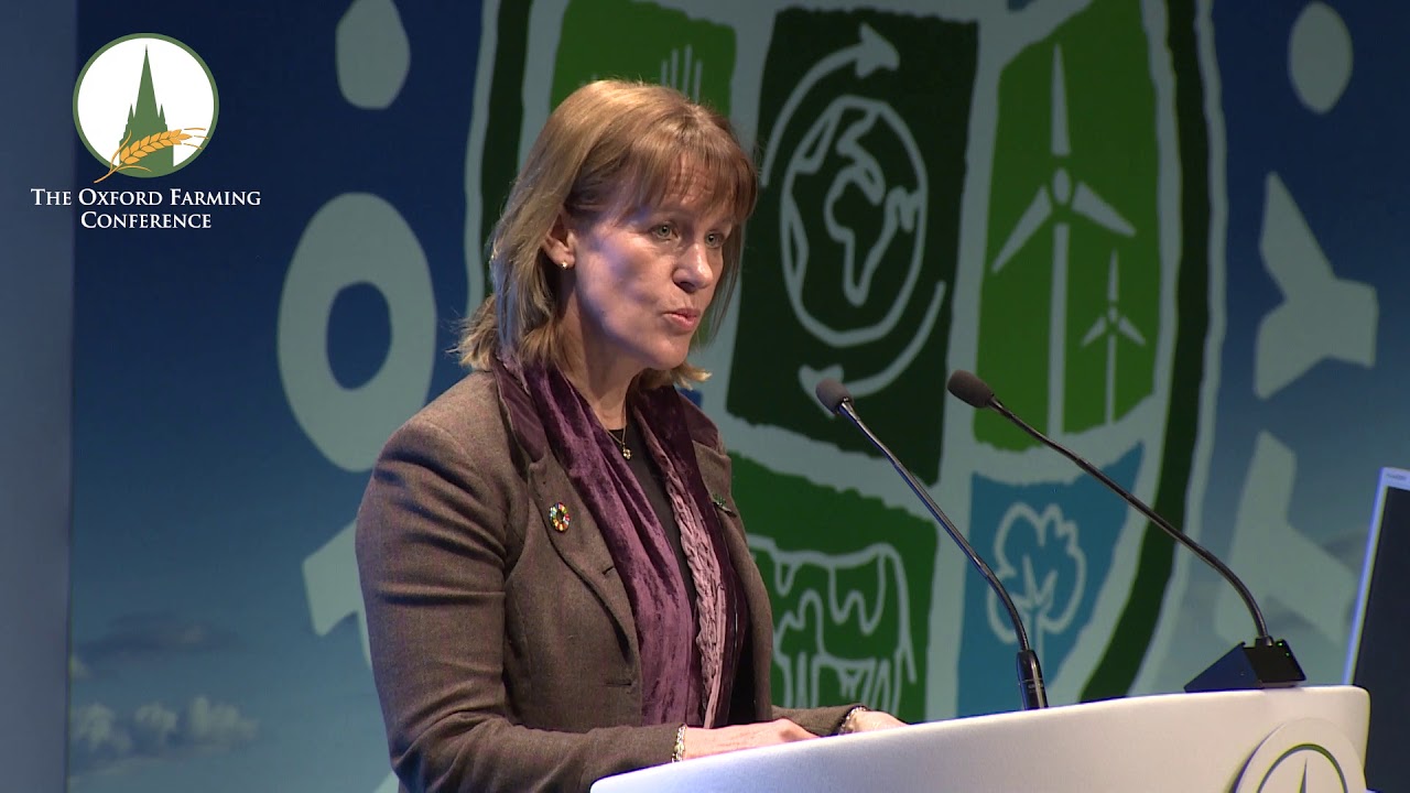 Minette Batters speaking at OFC 2019 - YouTube