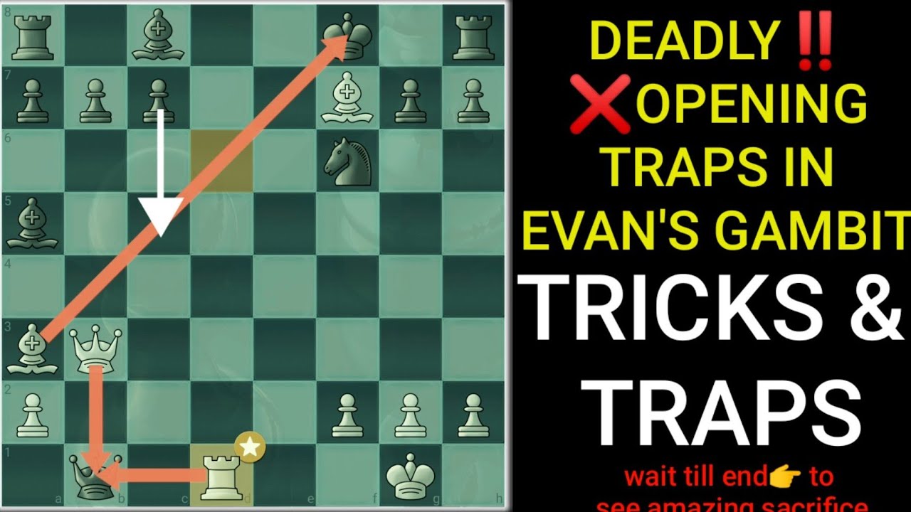 Evan's Gambit Chess Opening Tricks & Strategies | Chess Opening Theories & Ideas To Win Faster ...