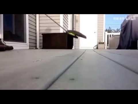 JOJO IN REAL LIFE!!! - YouTube