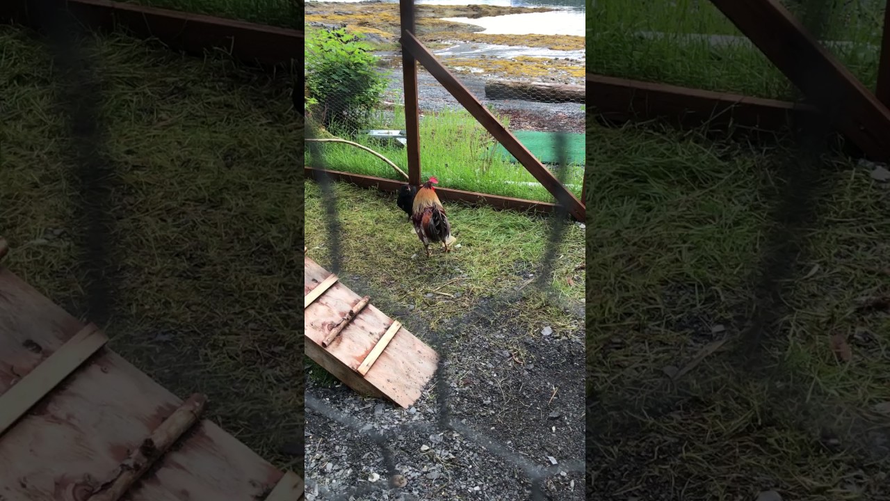 2 minutes later - YouTube