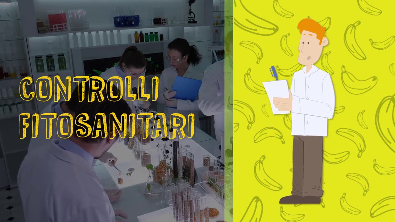 Indirizzo Logistica Trasporti - IIS Luzzatti - Venezia - YouTube