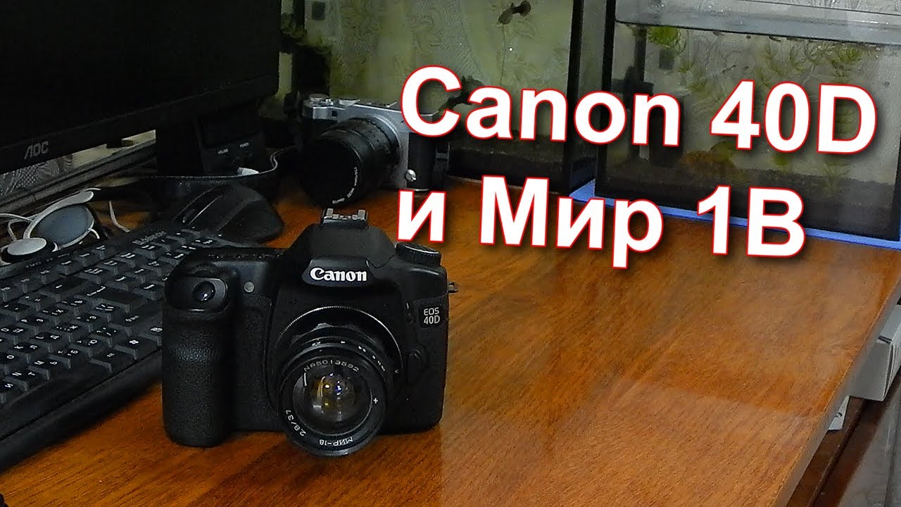Камера Canon 40D с объективом Мир 1В - YouTube
