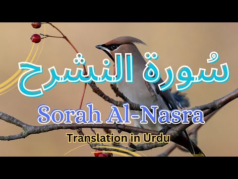 Sorah Al-Nashra | Tilawat Quran Pak | سُورۃ النشرح - YouTube