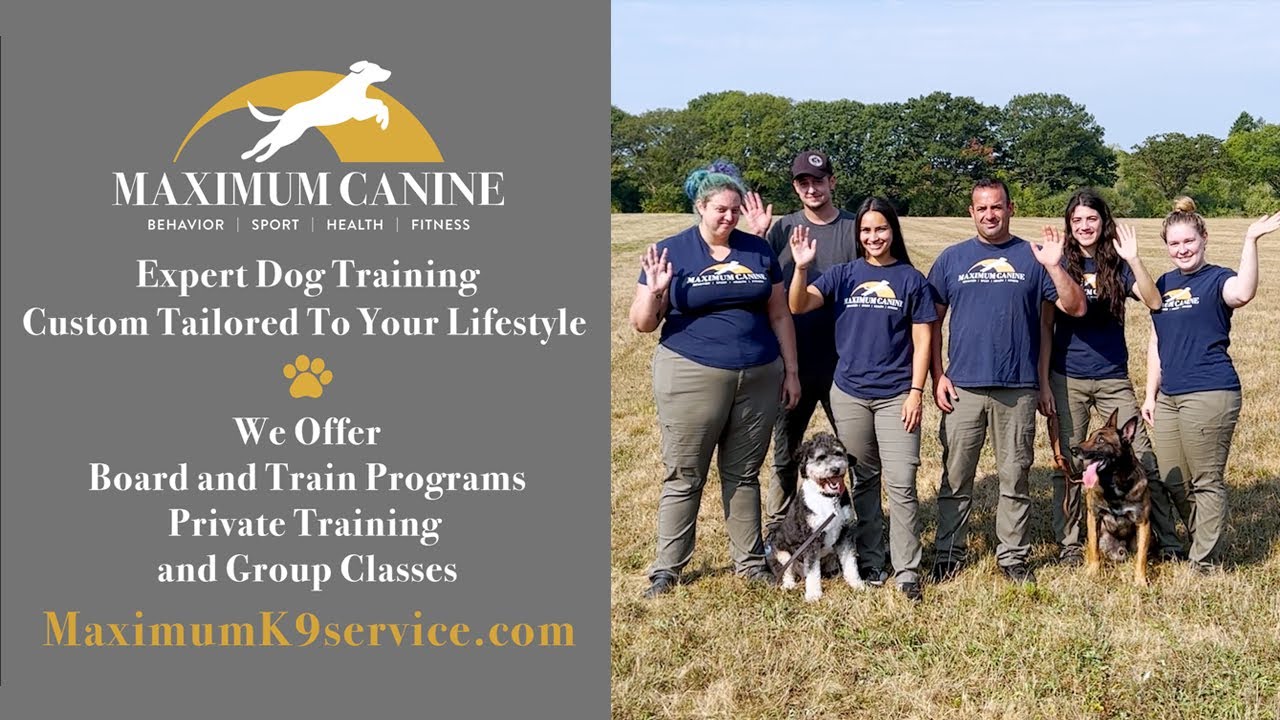Dog Training and Nutrition at Maximum Canine! - YouTube