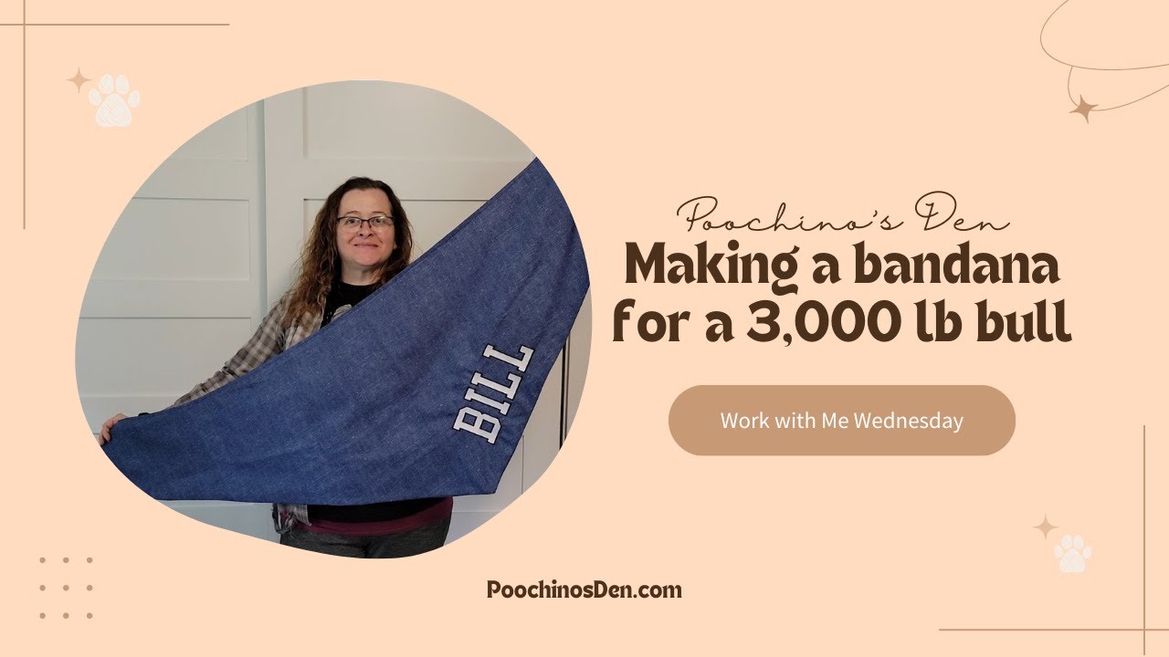 Work with Me Wednesday - I Made a Bandana for a 3,000 lb Bull! - YouTube