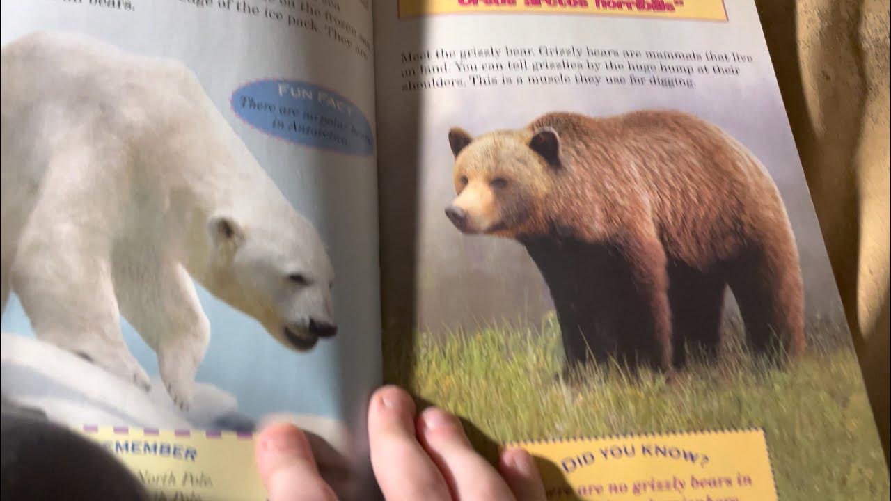 TyGrant09 Reads Who Would Win? Polar Bear VS. Grizzly Bear - YouTube