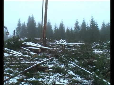 foresting - Machines in the forest - YouTube