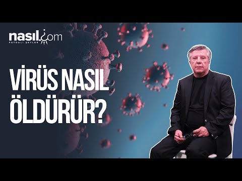 Virüs Nasıl Öldürür ve Hasta Eder?