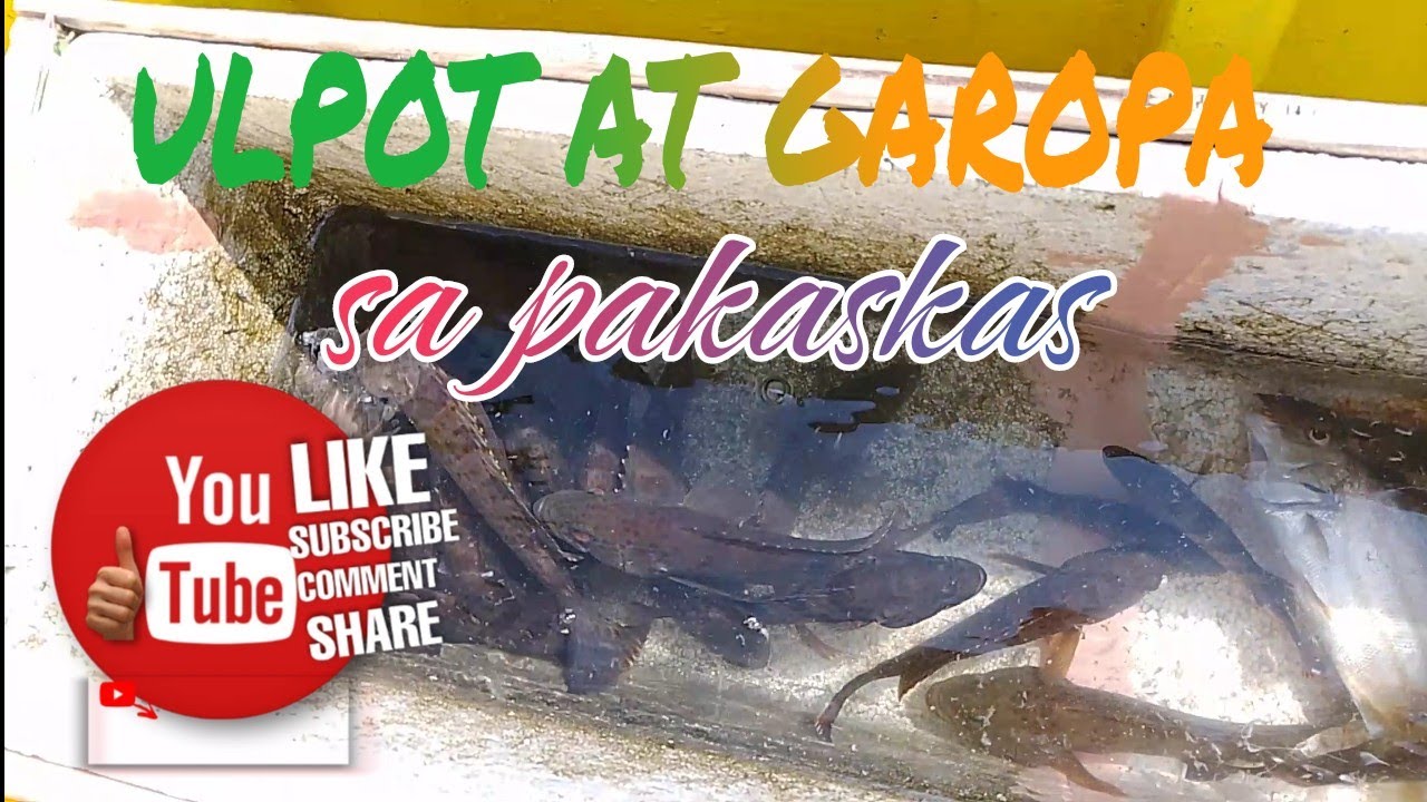 ULPOT AT GAROPA SA PAKASKAS - YouTube
