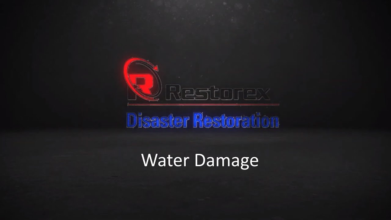 Water Damage Restoration - Restorex Disaster Restoration - YouTube
