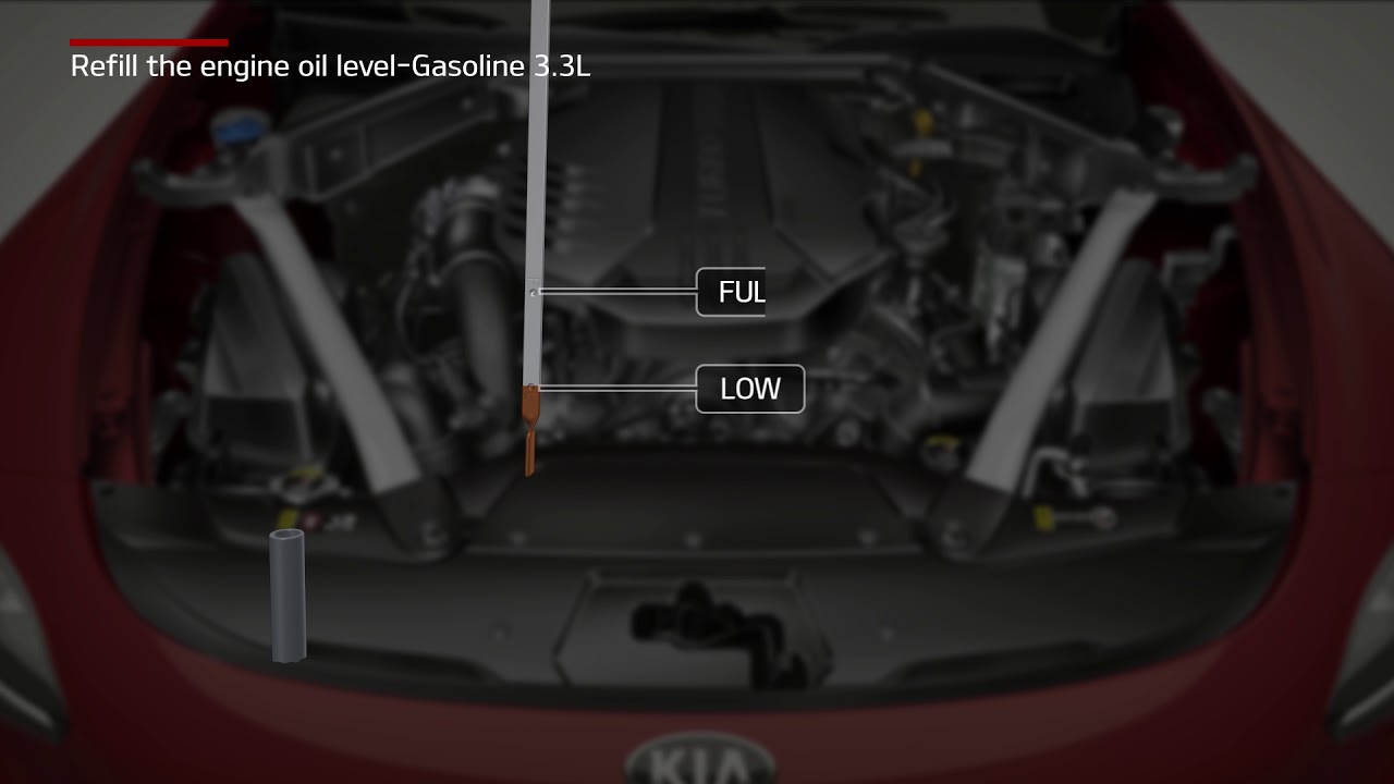 Stinger - Refill the engine oil level-3.3L Gasoline - YouTube