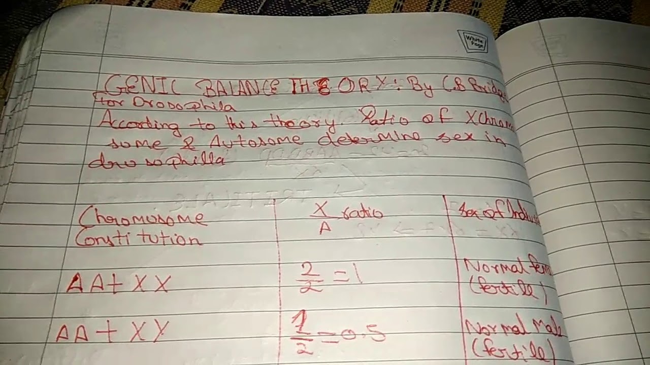 genic balance theory - YouTube