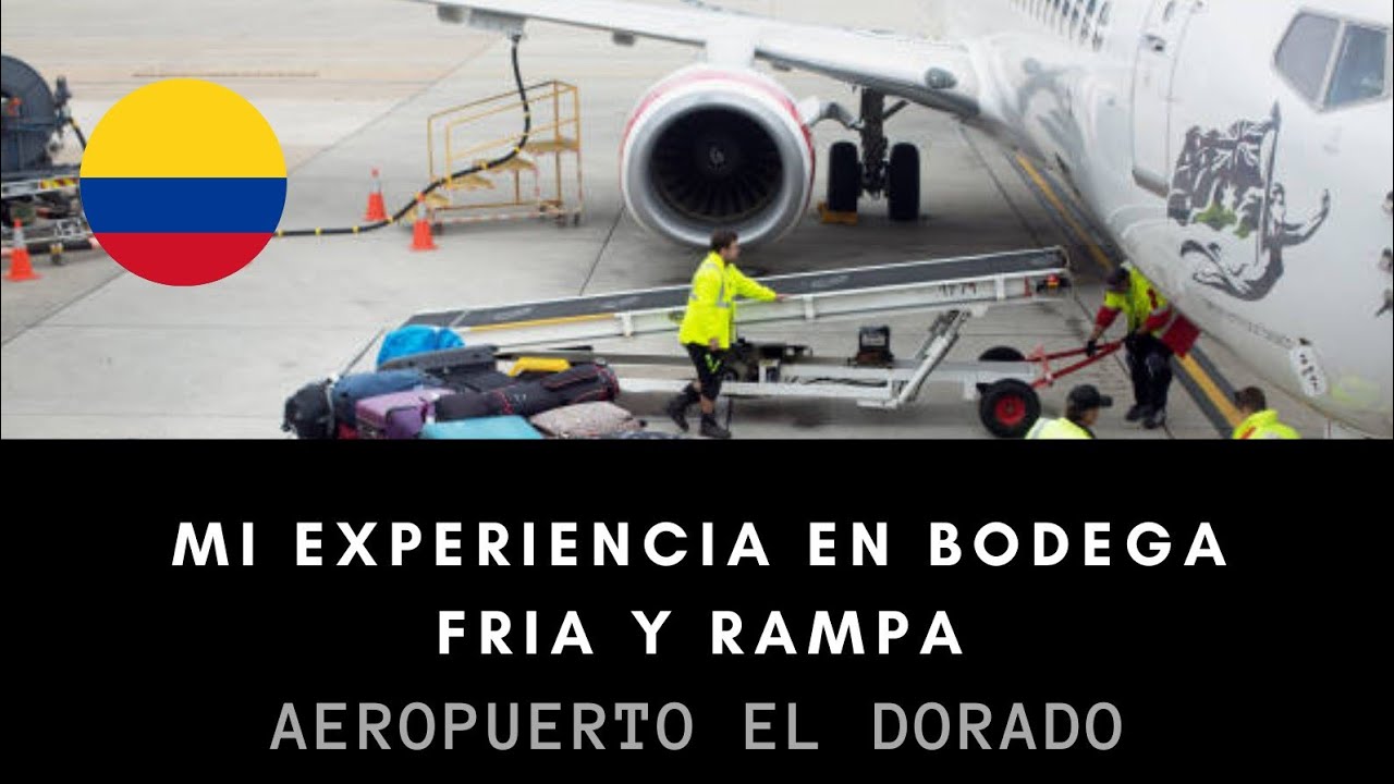Mi experiencia trabajando en Rampa Aeroportuaria y Bodega Fria en el ...