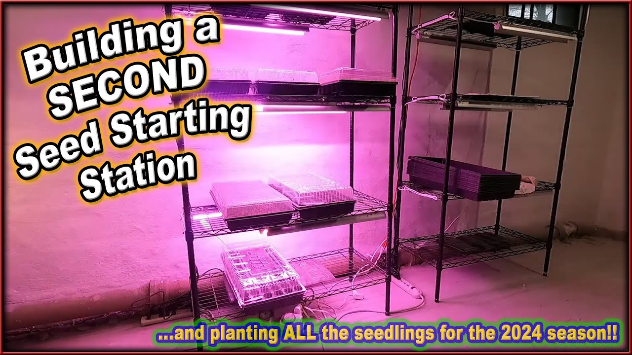 🌱🍅🌿 Building a SECOND seed starting rack, and planting hundreds of ...