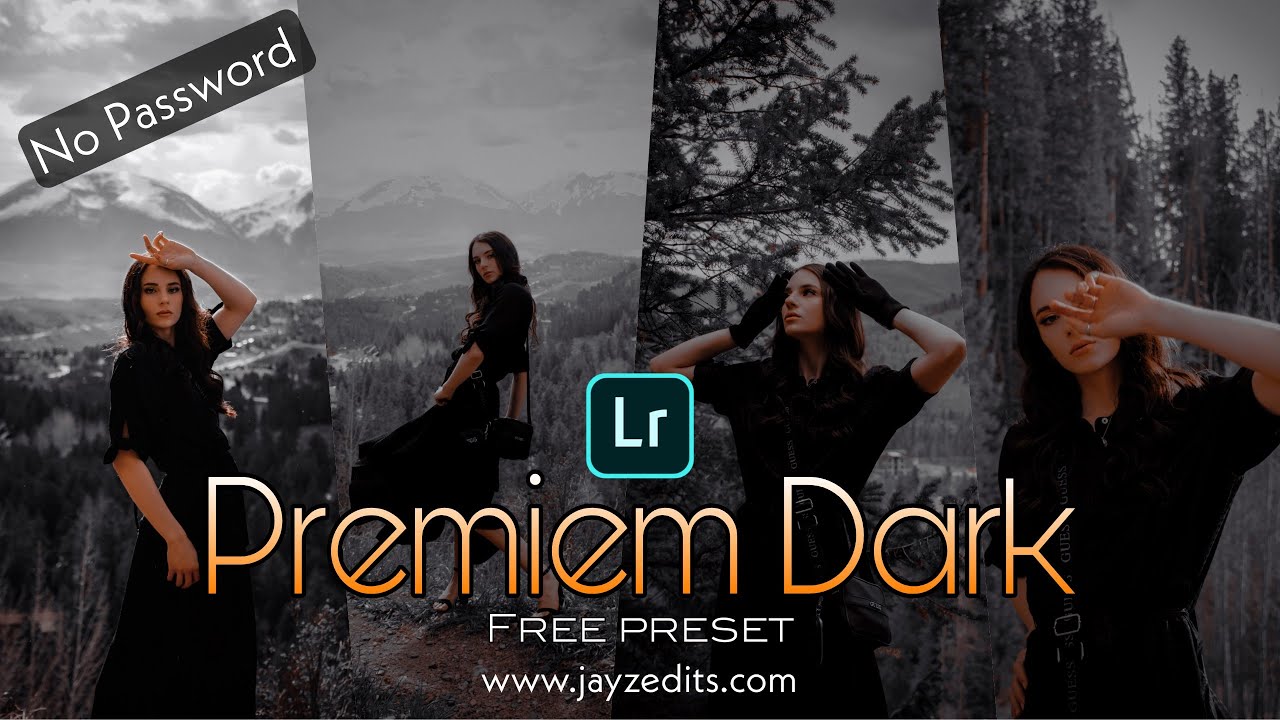Darktable Presets And Styles Reference Guide Free Download