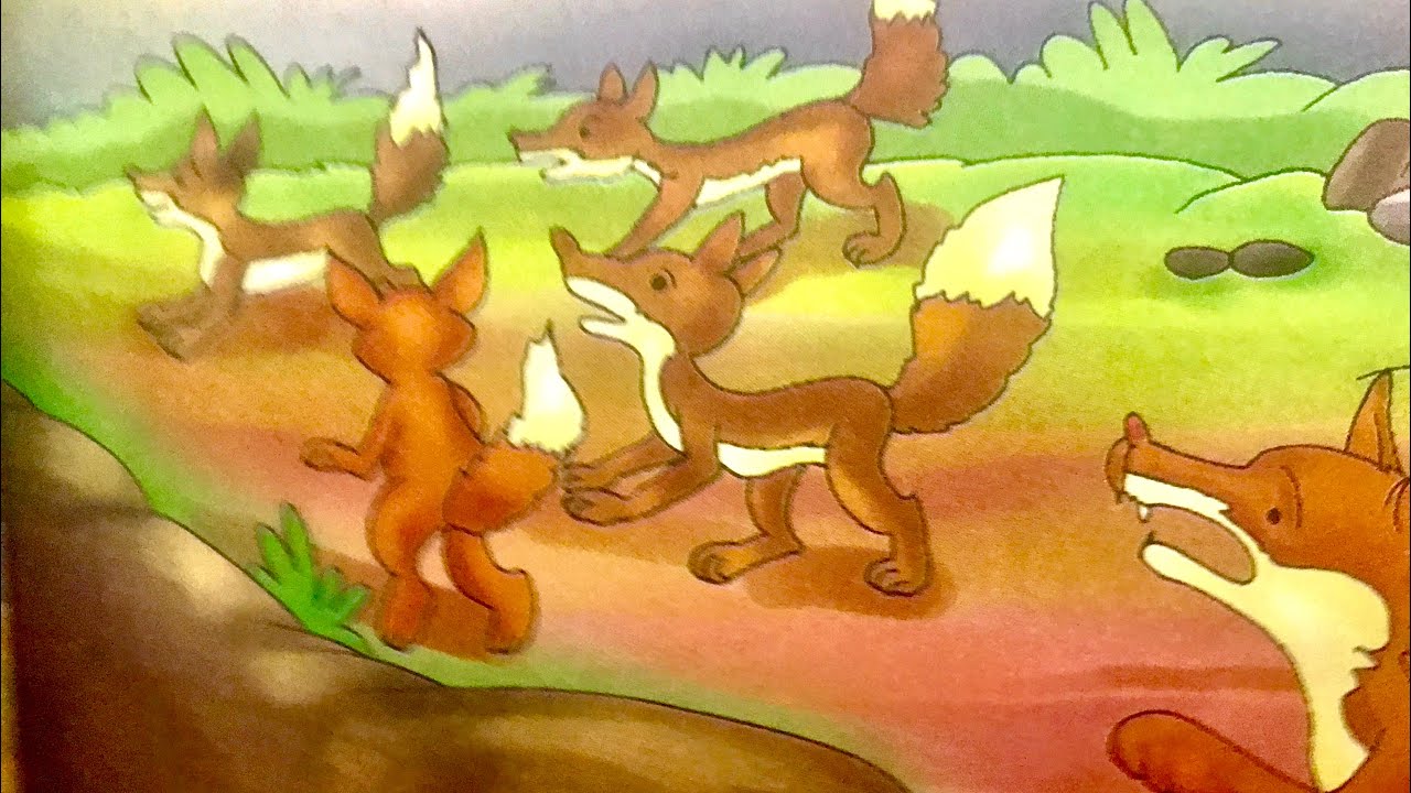 Listening and learning l Story for kids l The fox and his friends - YouTube