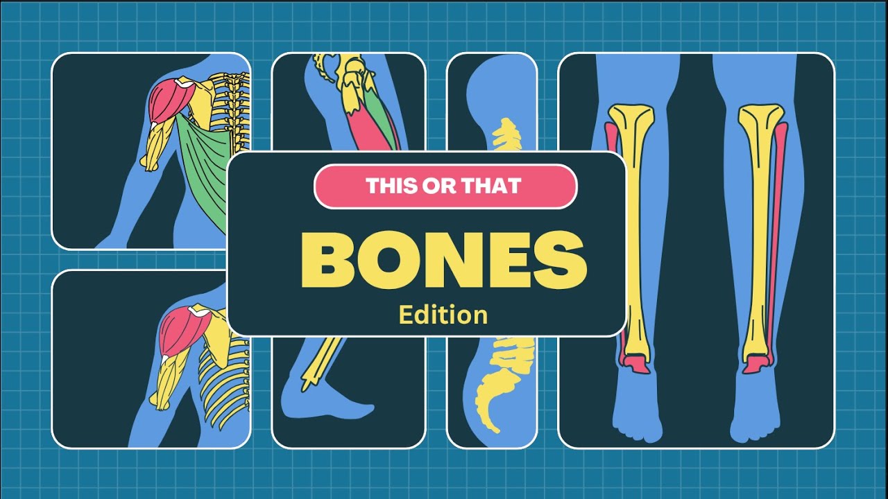 This or That Bones Edition. Brain Break. PE exercise. - YouTube