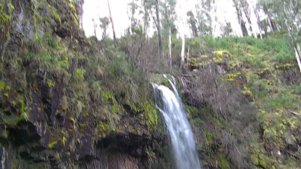 Bindaree Falls - YouTube