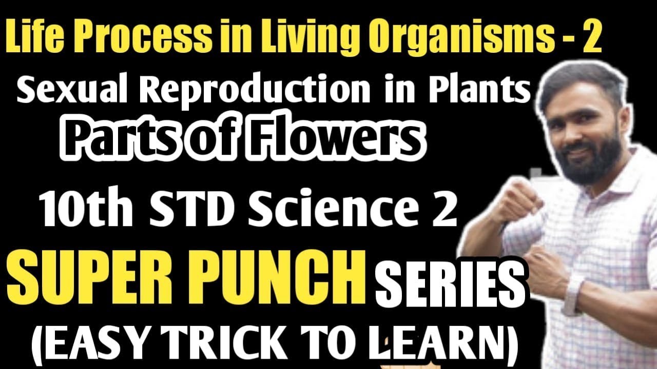 Life Process in Living Organisms 2 |Sexual Reproduction in Plants|Parts ...