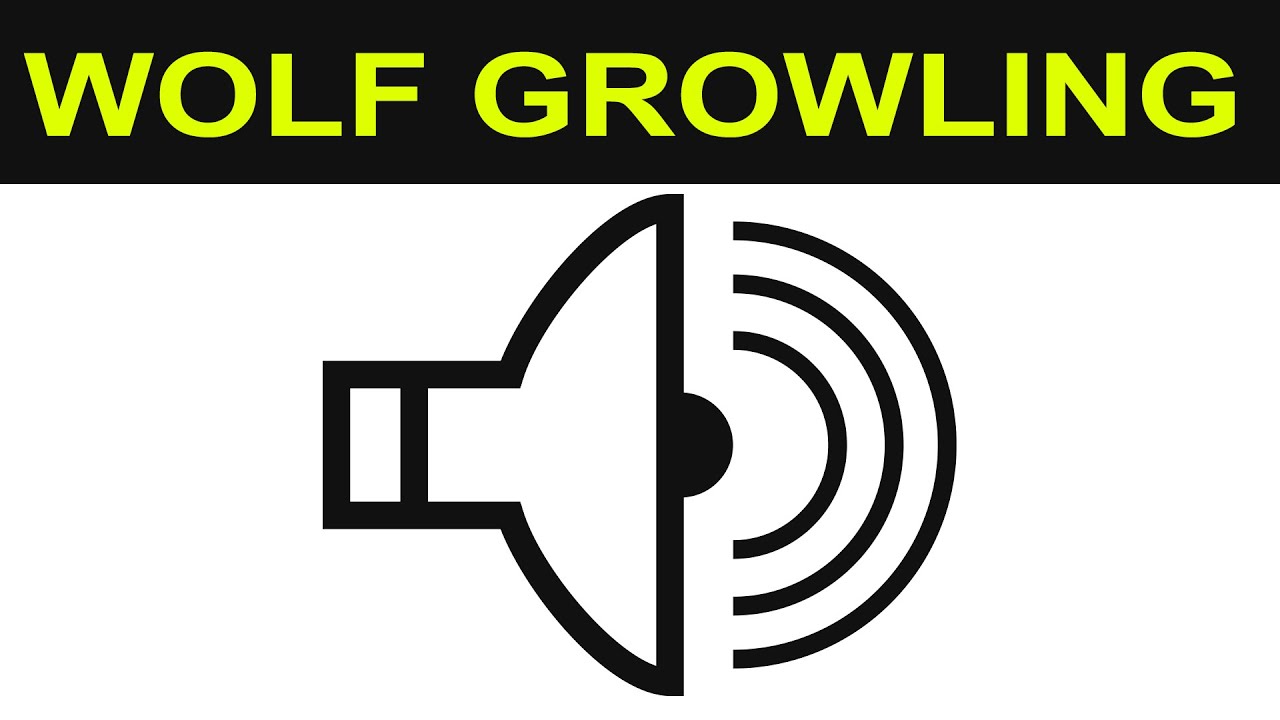 Wolf Growling Sound Effect in Hd Quality by Just Sound FX - YouTube