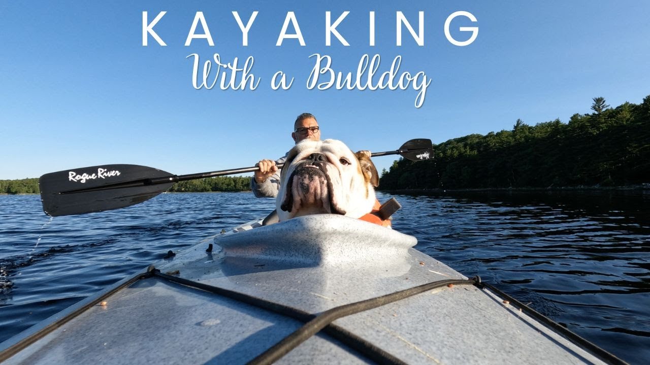 First Time On a Kayak And He Loved It | Cruz The Bulldog - YouTube