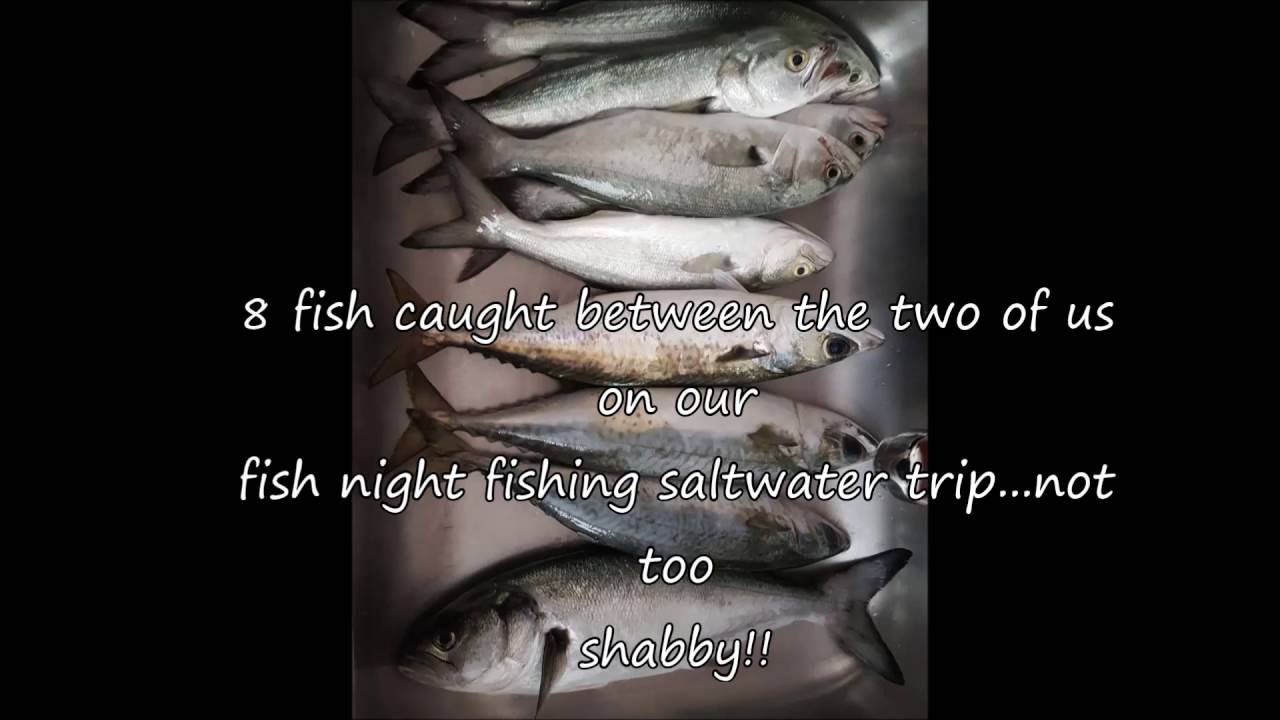 Bluefish Night Fishing on the Big Jamaica (Point Pleasant, NJ) - YouTube