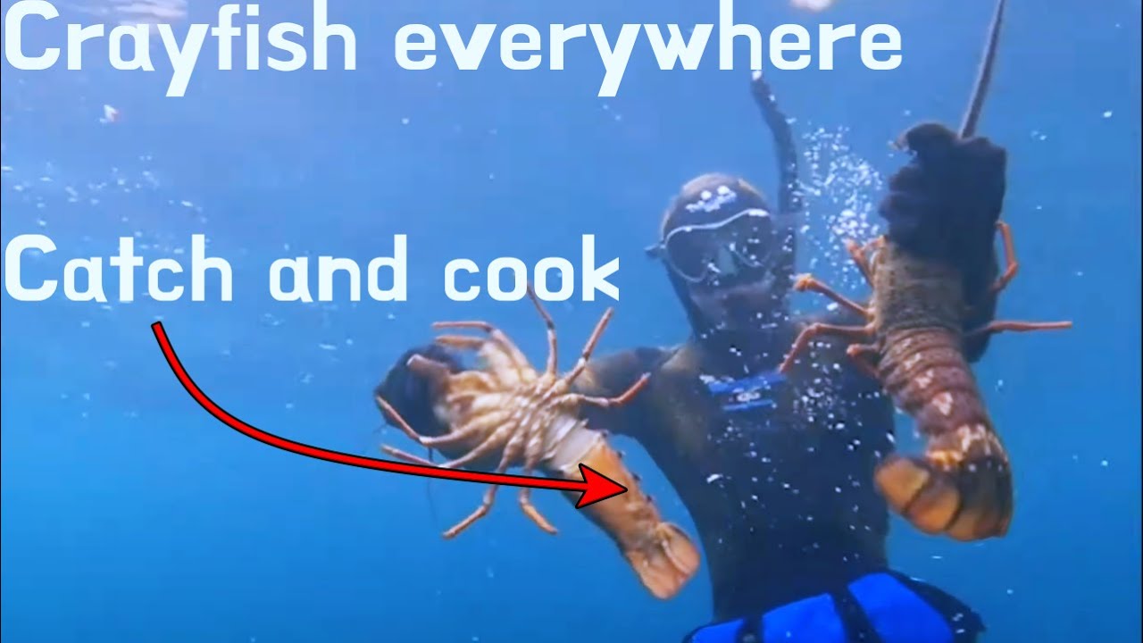 Cray Diving The West Coast of New Zealand - Catch and cook - YouTube
