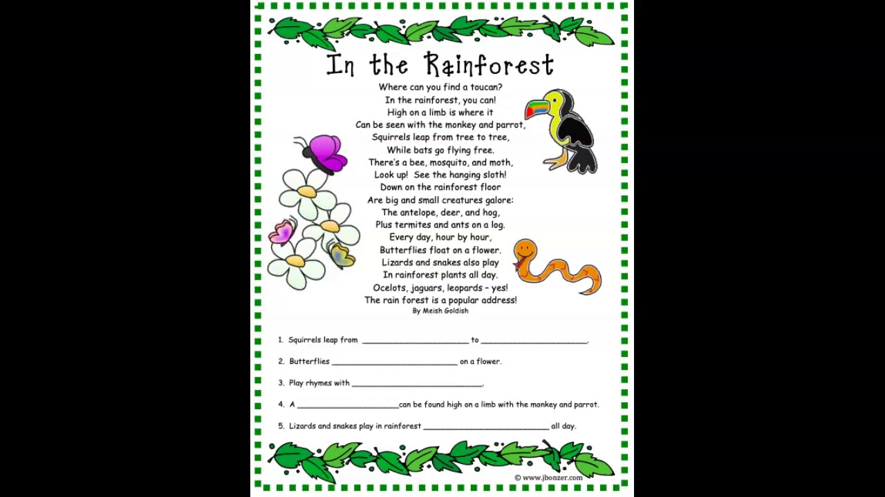 In the Rainforest - A Poetry Read-Aloud - YouTube