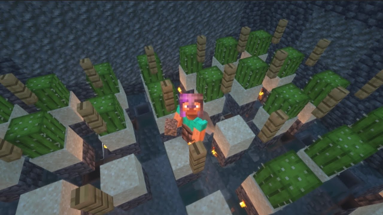 Mega cactus farm part 3 - YouTube